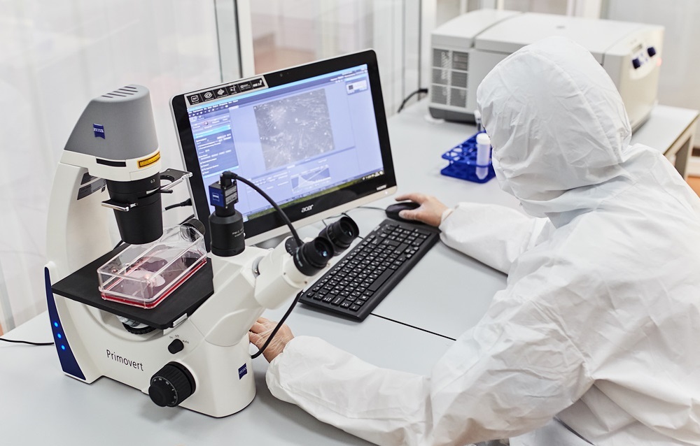 Stem Cells – CellMex